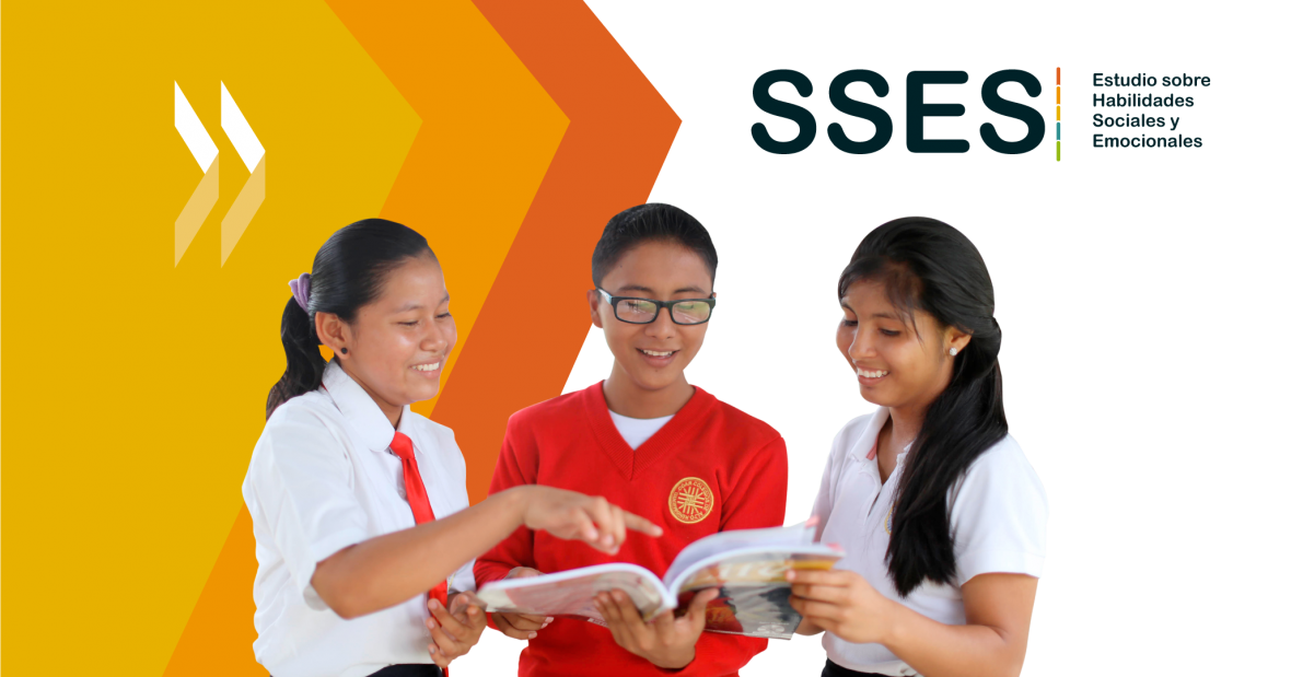 Recursos SSES 2023 | UMC | Oficina de Medición de la Calidad de los ...